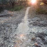 Pace Bend Park Trail, Texas - 606 Reviews, Map | AllTrails