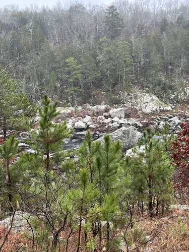 Best Bird Watching Trails in Millstream Gardens Conservation Area ...