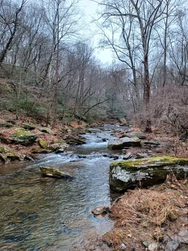 Best Hikes and Trails in Morgan Run Environmental Area | AllTrails