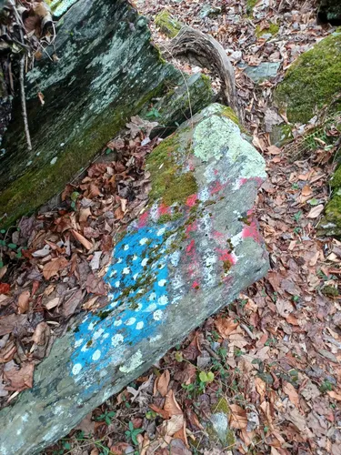 Best Hikes and Trails in Morgan Run Environmental Area | AllTrails