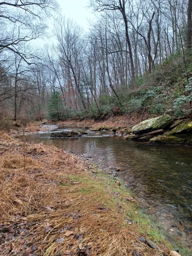 Best Hikes and Trails in Morgan Run Environmental Area | AllTrails