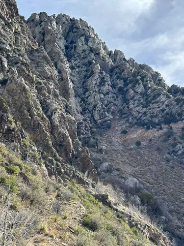 Best Hikes and Trails in Four Peaks Wilderness | AllTrails