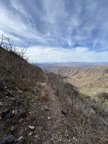 Best Hikes and Trails in Four Peaks Wilderness | AllTrails