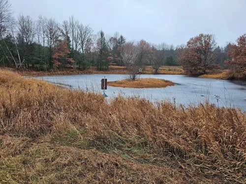Best Hikes and Trails in Custer | AllTrails