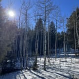 Independence Mountain Trail, Colorado - 4,825 Reviews, Map | AllTrails