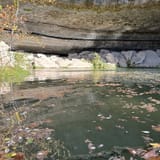Hamilton Pool Park Trail, Texas - 354 Reviews, Map | AllTrails