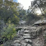 Hamilton Pool Park Trail, Texas - 379 Reviews, Map | AllTrails