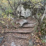 Hamilton Pool Park Trail, Texas - 354 Reviews, Map | AllTrails