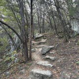Hamilton Pool Park Trail, Texas - 379 Reviews, Map | AllTrails