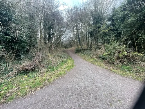 Best Forest Trails in Rowley Regis | AllTrails