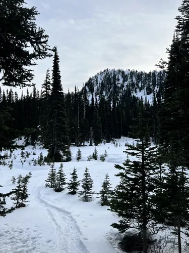 Best Mountain Biking Trails in Paradise | AllTrails