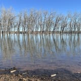 Chatfield Dam to Chatfield Internal Loop, Colorado - 726 Reviews, Map ...