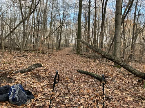 Best Hikes and Trails in Lamprey Pass WMA | AllTrails