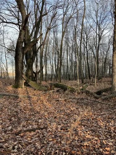 Best Hikes and Trails in Lamprey Pass WMA | AllTrails