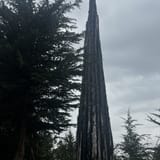 Presidio Loop Trail, California - 1,492 Reviews, Map | AllTrails