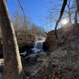 Tanyard Perimeter Loop, Arkansas - 2,493 Reviews, Map | AllTrails