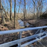 Tanyard Perimeter Loop, Arkansas - 2,493 Reviews, Map | AllTrails