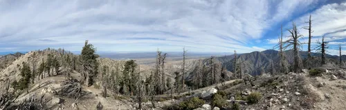 Best Walking Trails in Pearblossom | AllTrails