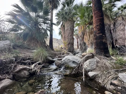 Best Hikes and Trails in Cahuilla Native American Land - Indian Canyons ...