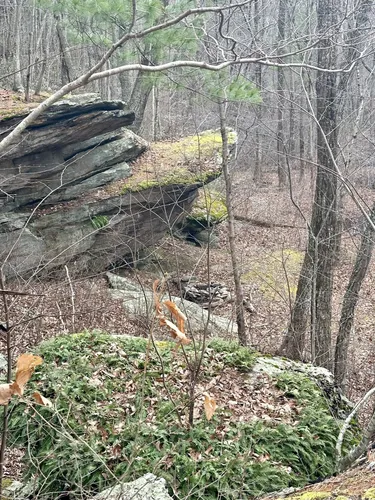 Best Hikes and Trails in Snake Den State Park | AllTrails