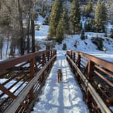 Tibble Fork Loop Trail, Utah - 750 Reviews, Map | AllTrails