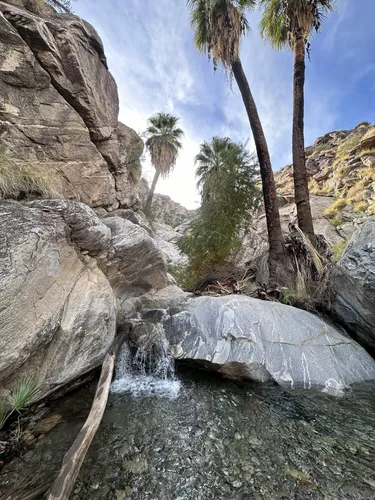 Best Hikes and Trails in Cahuilla Native American Land - Indian Canyons ...