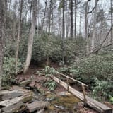Raven Rock Loop Trail, South Carolina - 2,094 Reviews, Map | AllTrails