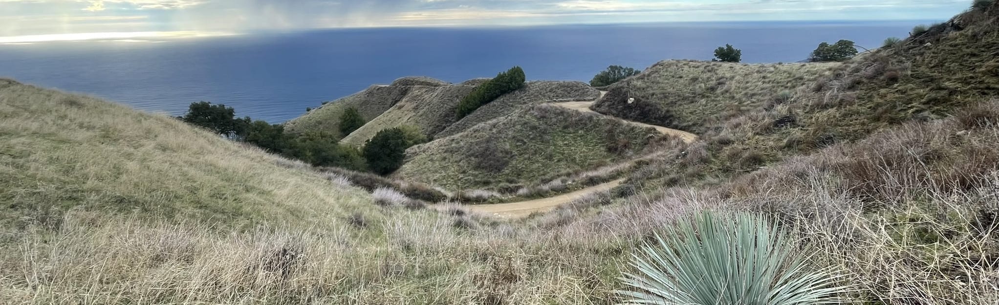 Coast Ridge Road to Terrace Creek Trail, California - 513 Reviews, Map ...