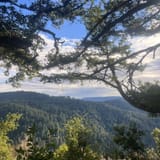 Hickory Oak Ridge Trail Loop, California - 196 Reviews, Map | AllTrails