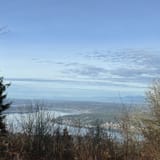 Big Tree Ridge Trail, Washington - 481 Reviews, Map | AllTrails