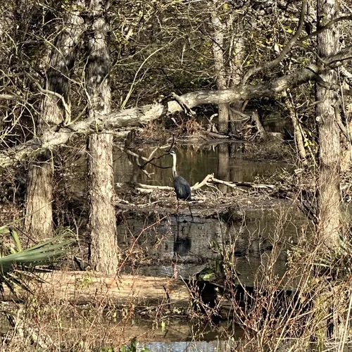 Best Hikes and Trails in George Bush Park | AllTrails