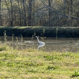 George Bush Hike and Bike Trail, Texas - 1,248 Reviews, Map | AllTrails