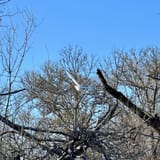 George Bush Hike and Bike Trail, Texas - 1,214 Reviews, Map | AllTrails