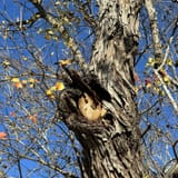 George Bush Hike and Bike Trail, Texas - 1,248 Reviews, Map | AllTrails