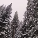 Snow Lake Trail, Washington - 11,147 Reviews, Map | AllTrails