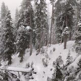 Snow Lake Trail, Washington - 11,147 Reviews, Map | AllTrails