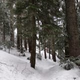 Snow Lake Trail, Washington - 11,147 Reviews, Map | AllTrails