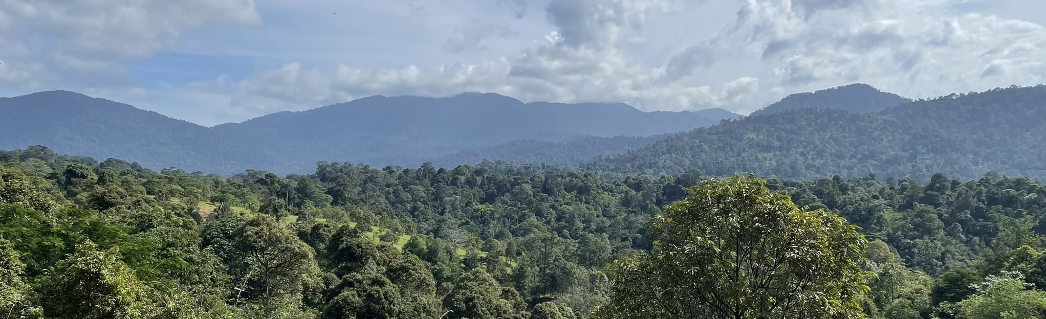 Kemensah - Bukit Pau Extended Trail, Selangor, Malaysia - 374 Reviews ...