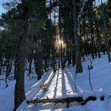 Eagle's View Trail Loop, Colorado - 2,924 Reviews, Map | AllTrails