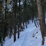 Eagle's View Trail Loop, Colorado - 2,924 Reviews, Map | AllTrails