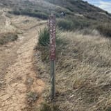 Ray Miller Backbone Trail, California - 1,860 Reviews, Map | AllTrails