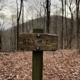 Blue Ridge Gap to Sharp Top, Georgia - 99 Reviews, Map | AllTrails