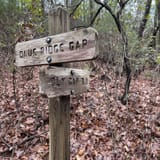 Blue Ridge Gap to Sharp Top, Georgia - 99 Reviews, Map | AllTrails