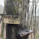 Blue Ridge Gap to Sharp Top, Georgia - 118 Reviews, Map | AllTrails