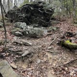 Blue Ridge Gap to Sharp Top, Georgia - 118 Reviews, Map | AllTrails