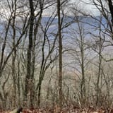 Blue Ridge Gap to Sharp Top, Georgia - 118 Reviews, Map | AllTrails