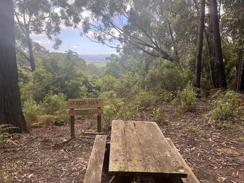Best Hikes and Trails in Uralla Nature Reserve | AllTrails