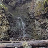 Trail 121: Waterfall Loop, Washington - 944 Reviews, Map | AllTrails