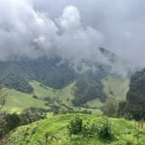 Cocora Valley Loop, Quindío, Colombia - 201 Reviews, Map | AllTrails
