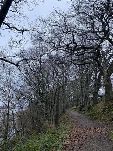 Best Camping Trails in Vejen | AllTrails